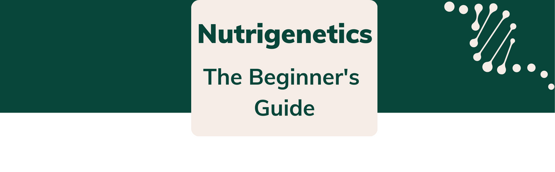 Nutrigenetics: The Beginner’s Guide – NGX